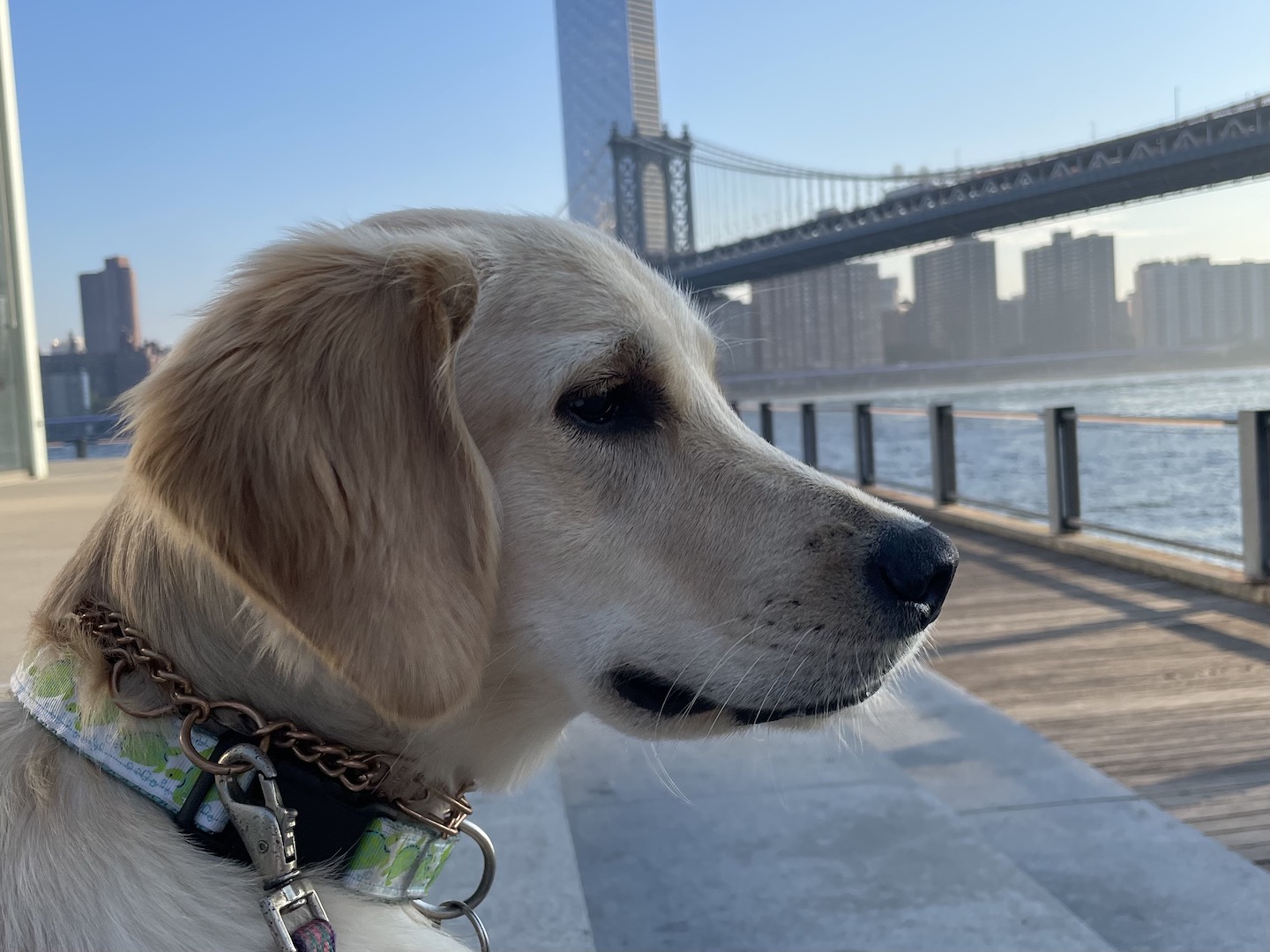 Don’t Rush This - EF WRITING PROJECT